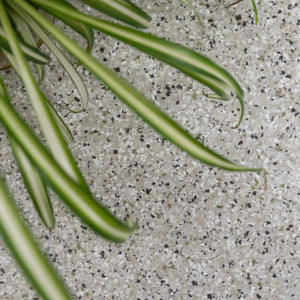 Reed Flake – Stone Coat Countertops